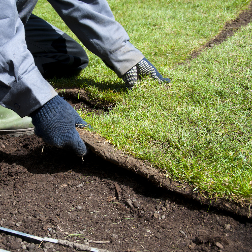 Lawn And Turf Job Leads - Access 11060 Yearly Jobs Now